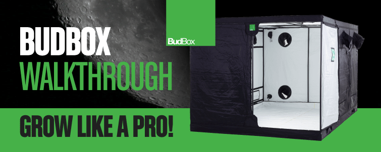 [BudBox Walkthrough] Grow like a PRO! | GroWell