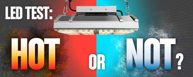 LED Test: Hot or Not? | GroWell