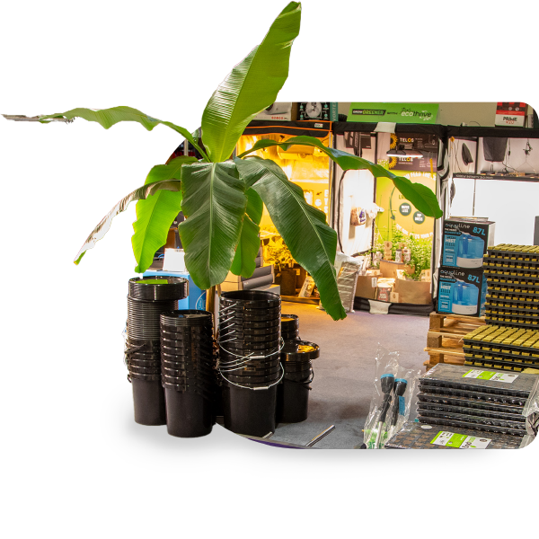 Ecothrive Charge - 100% Organic | GroWell