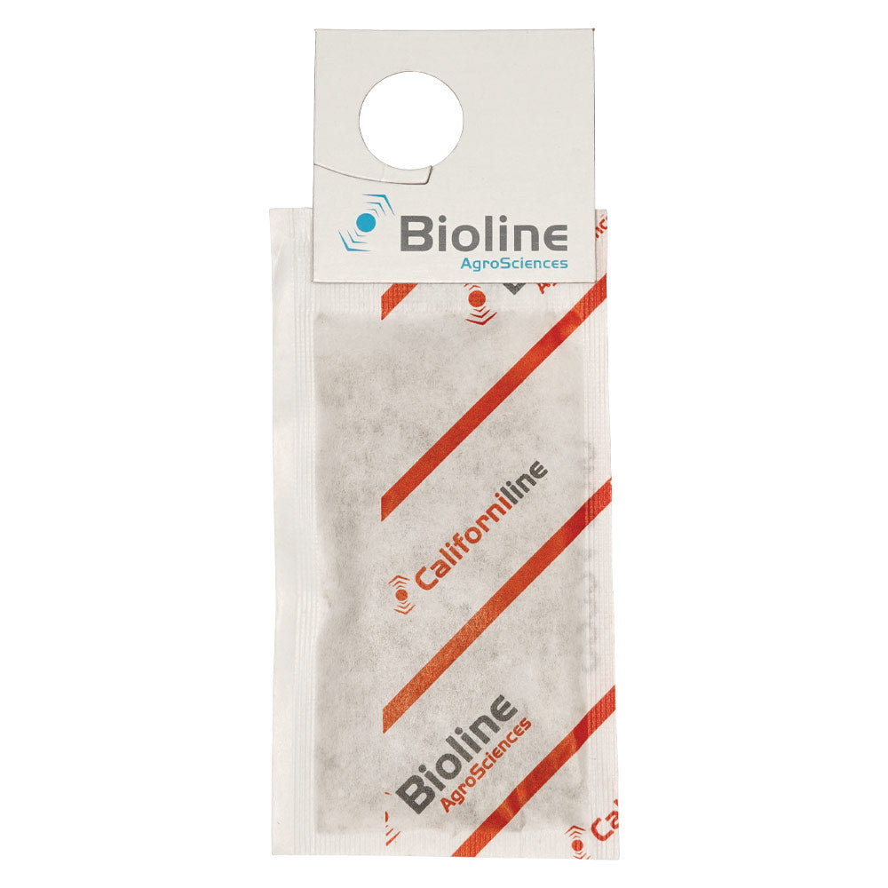 Spider Mite Predators Sachets - Pest Control | GroWell