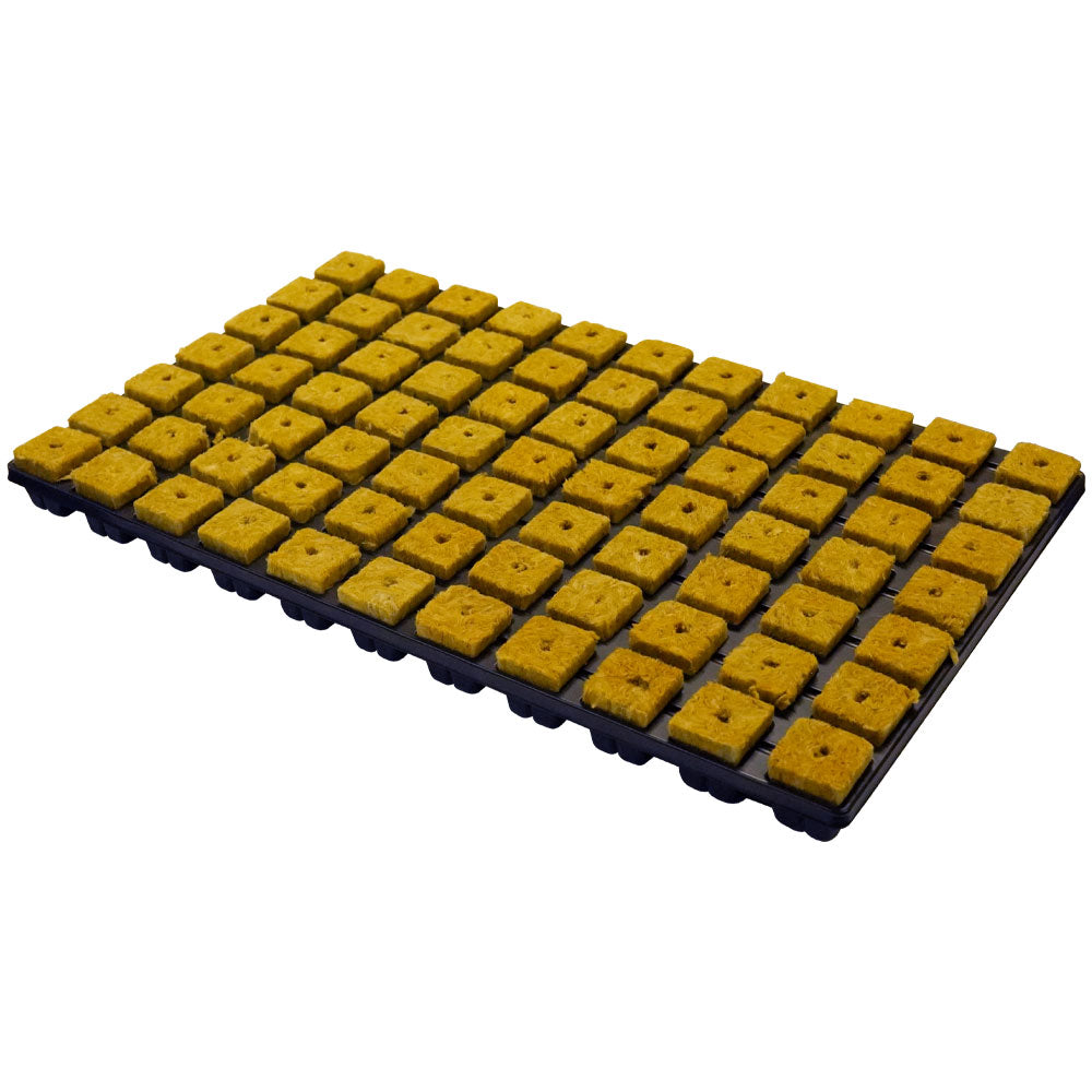 Cultiwoool Rockwool Starter Plugs | GroWell