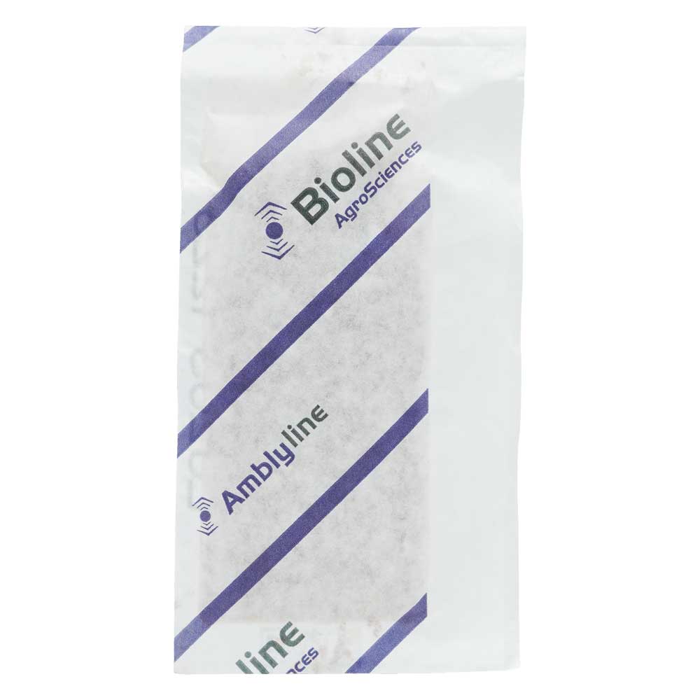 Thrips Predators - Pest Control | Gemini Sachet x 500 | GroWell