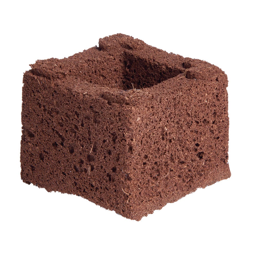 Eazy Block Organic Transplanting Cubes Ltd | GroWell