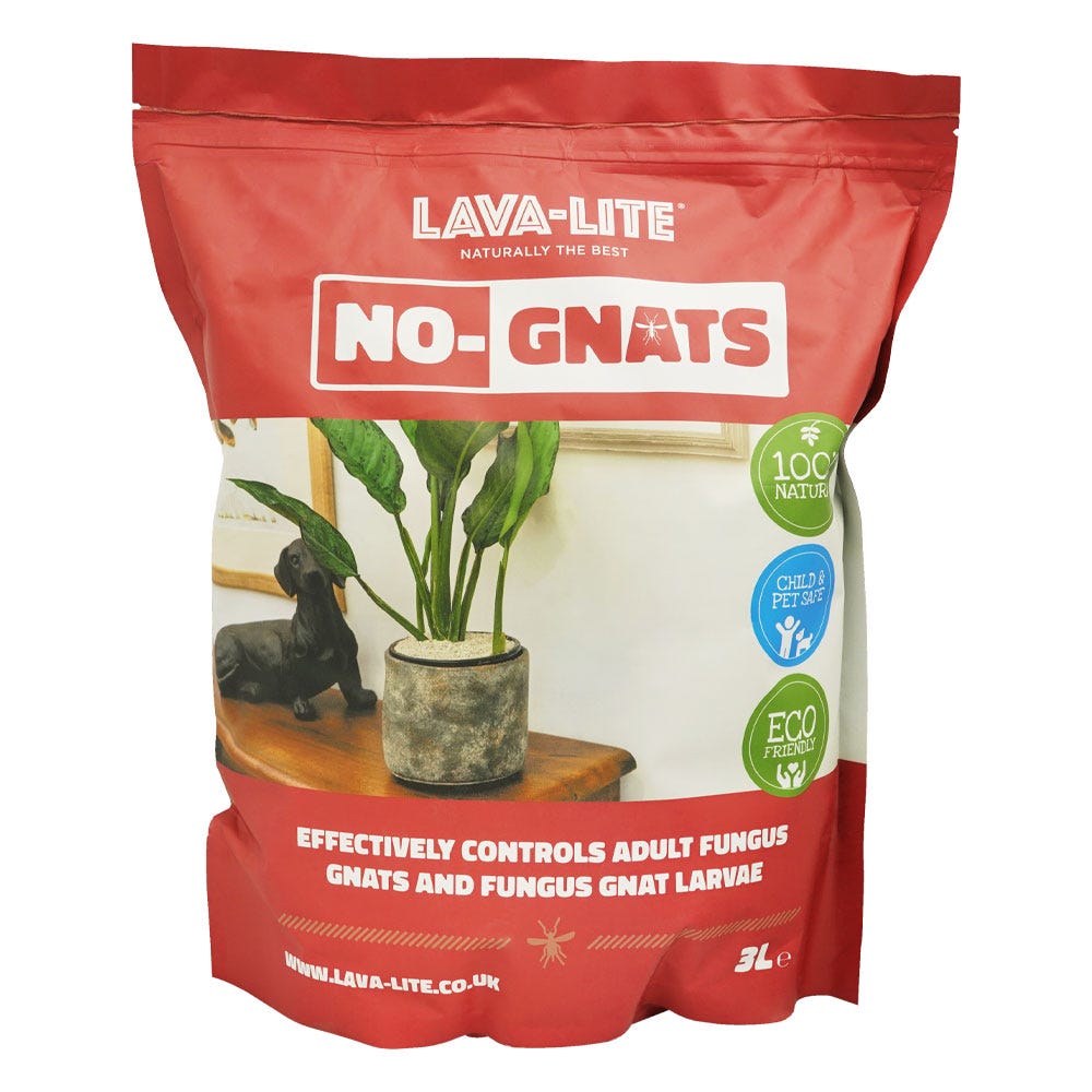 Lava-Lite No Gnats - Fungus Gnat Control | GroWell