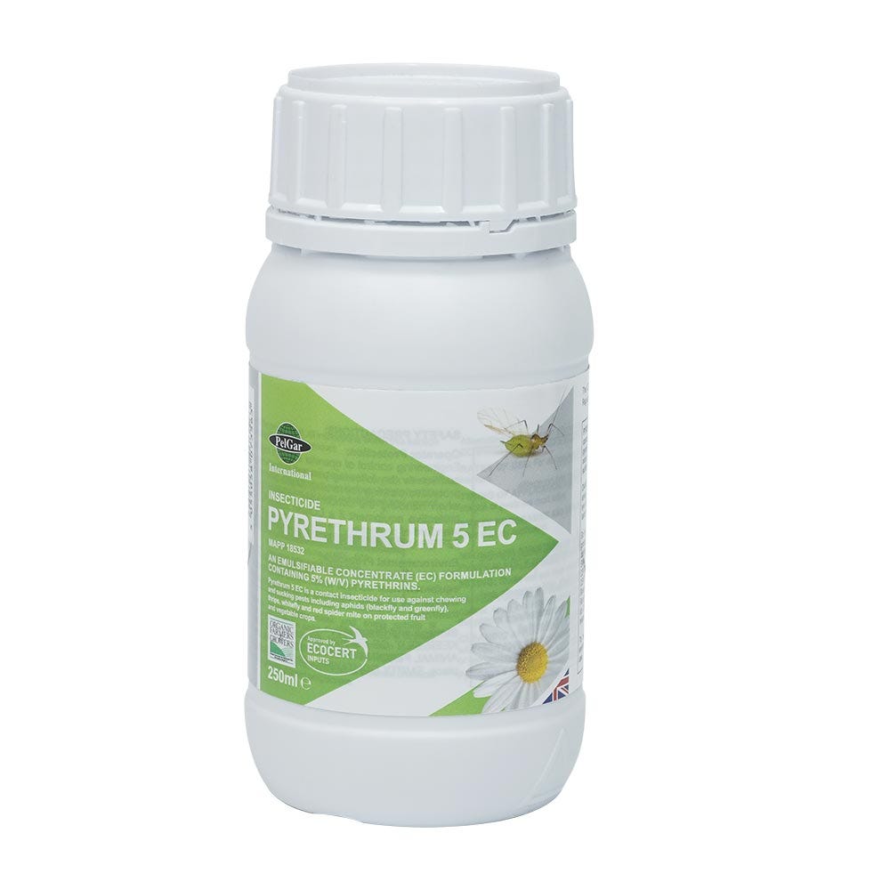 Pyrethrum Natural Insect Killer - Pest Control | GroWell