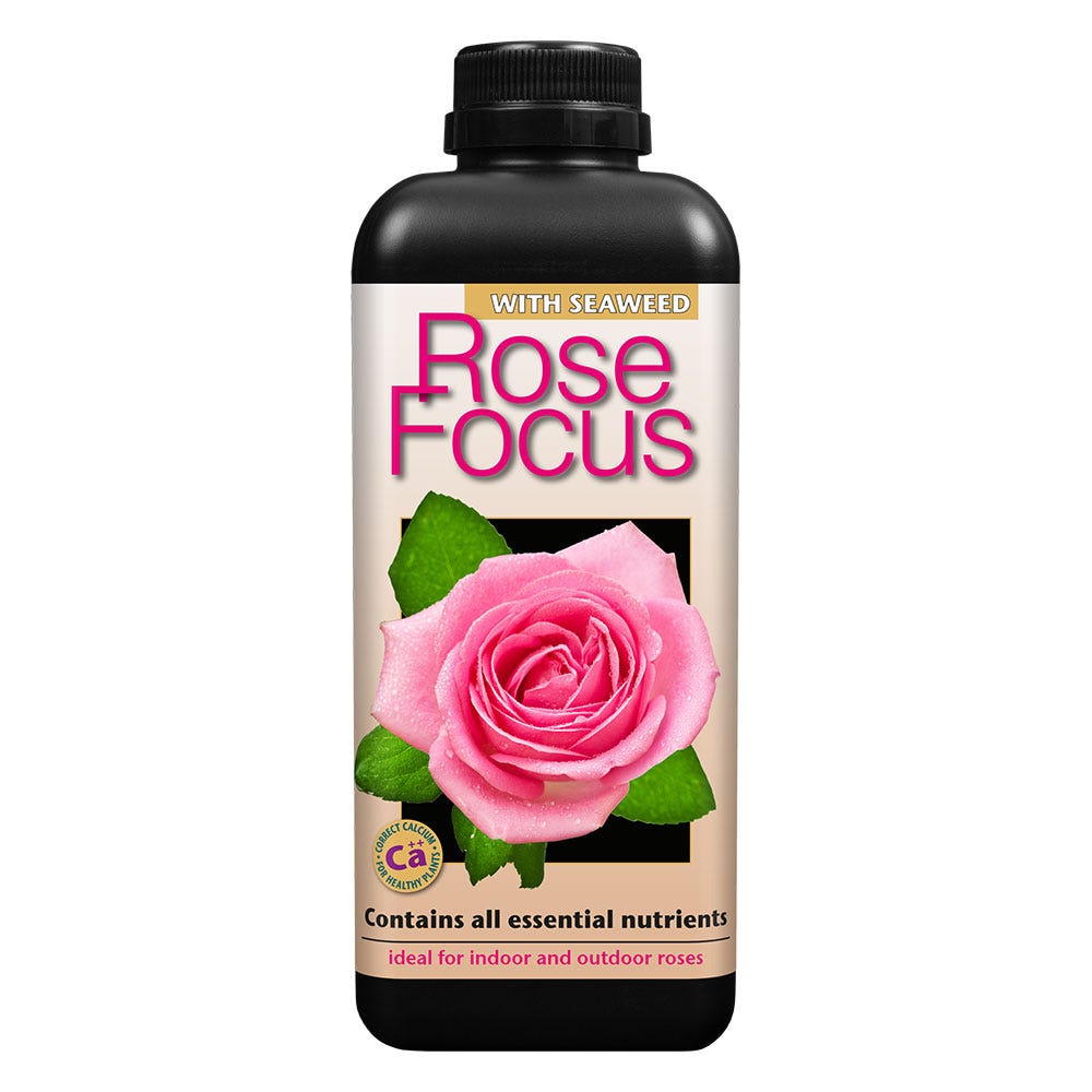 Rose Focus - Grow Your Own | GroWell